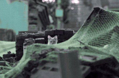 chinesemovies.com.fr